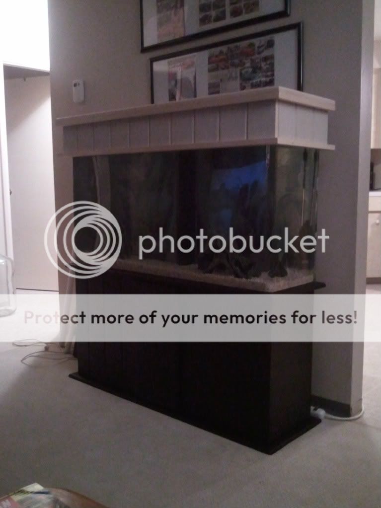 Built my own aquarium hood for my 65 gallon | British Columbia Aquarium ...