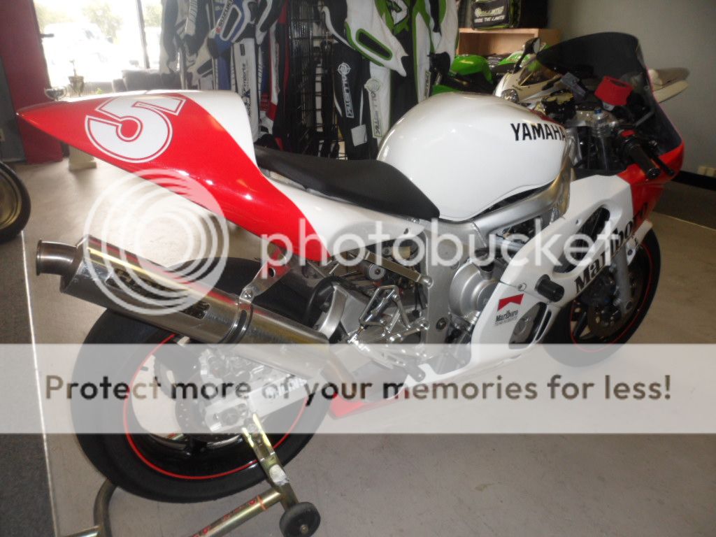 1999 Yamaha R6 Track day bike | N2 Forum